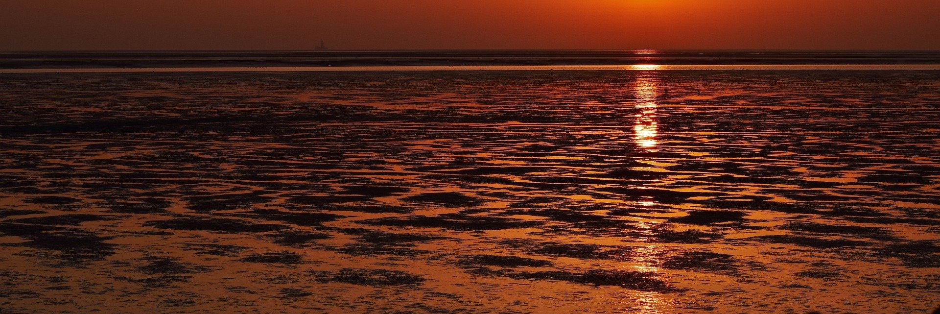 Nationalpark Wattenmeer | Stadland an Jadebusen und Weser